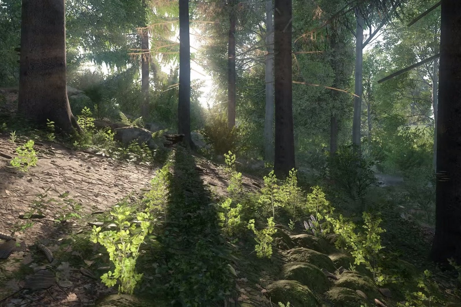 Kingdom Come: Deliverance and its near photorealistic forest ...