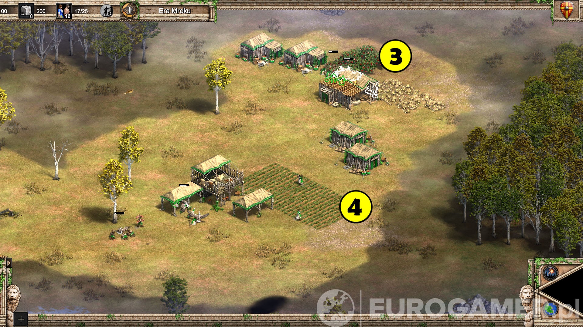 Age of Empires 2 - strategia Fast Castle | Eurogamer.pl