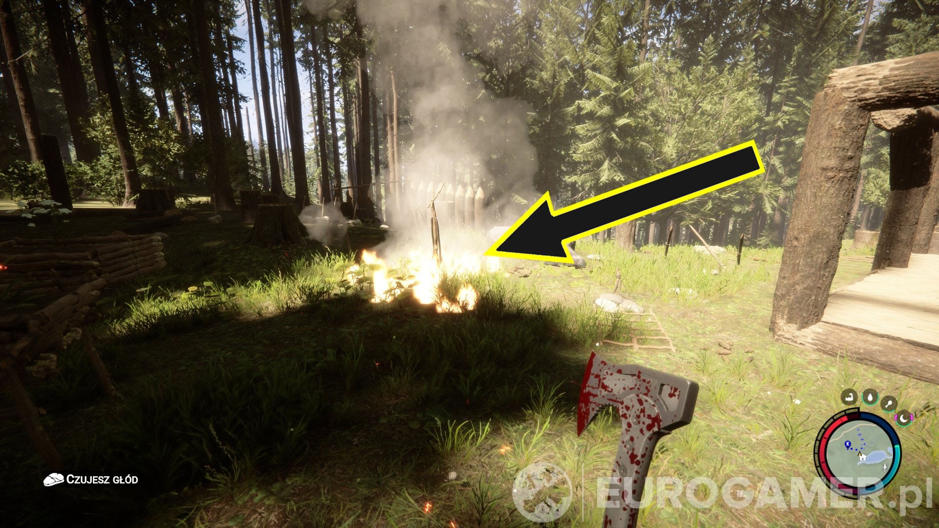 Sons of the Forest - obrona bazy: palisady, zasieki | Eurogamer.pl