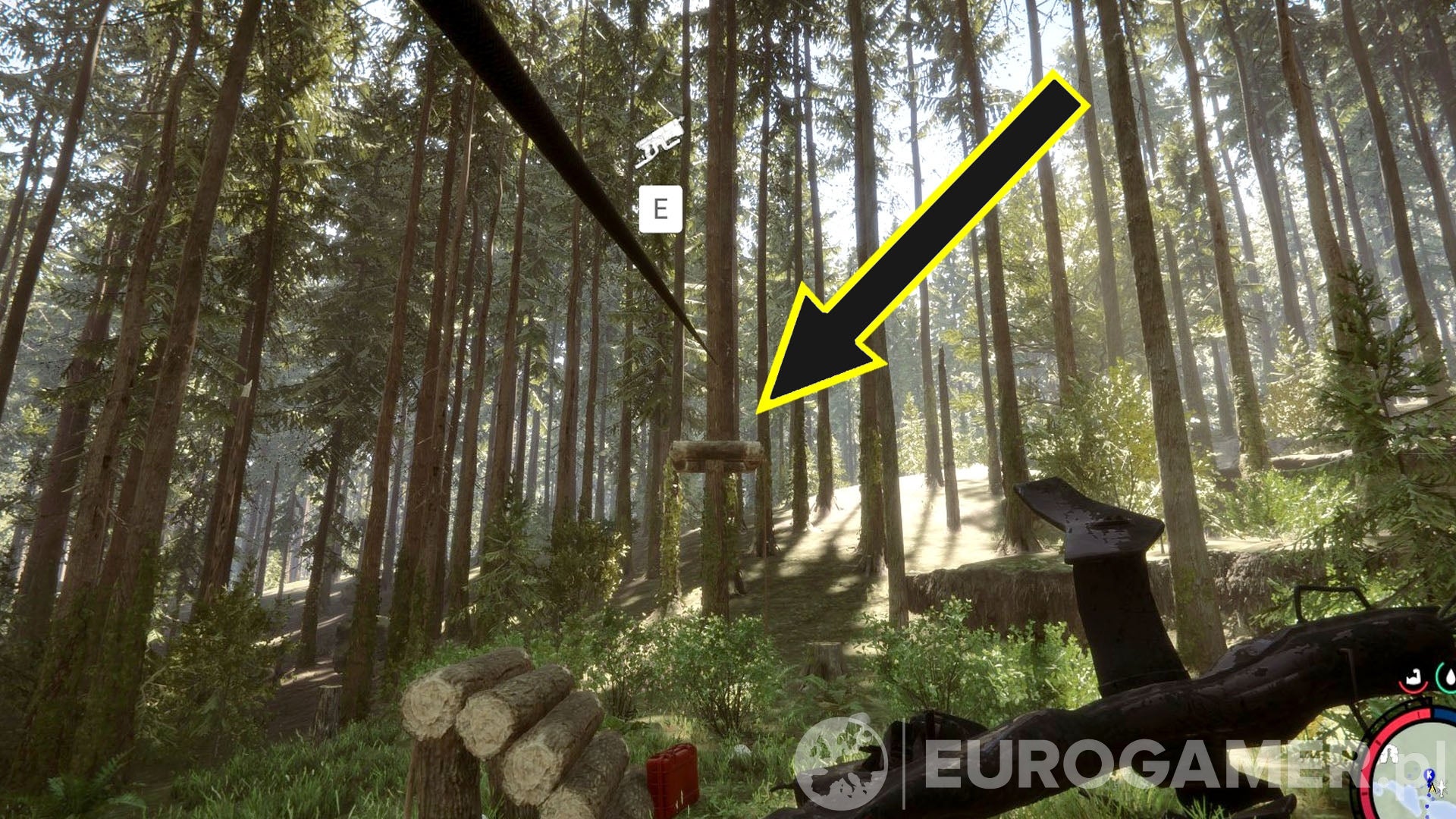 Sons of the Forest - obrona bazy: palisady, zasieki | Eurogamer.pl