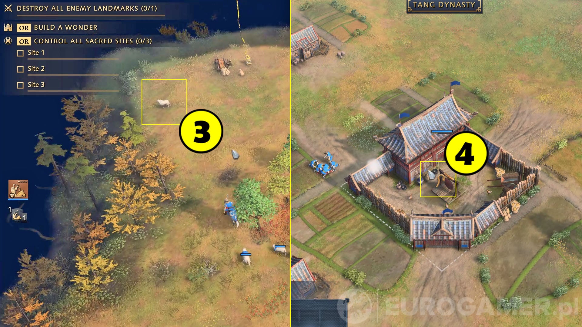 Age of Empires 4 - owce, sheep: przejmowanie, kontrola | Eurogamer.pl