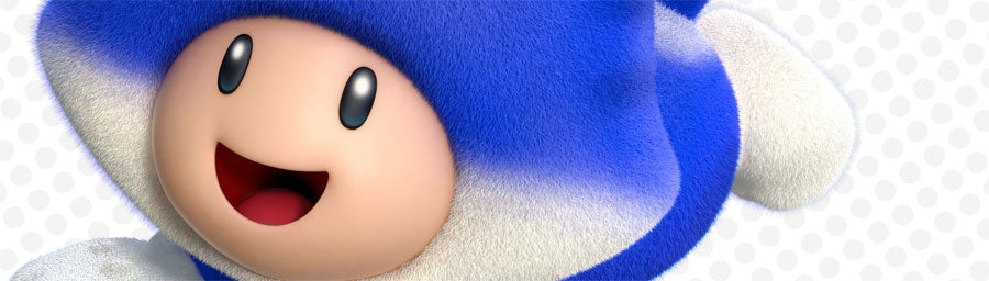 Blue Toad Super Mario 3d World