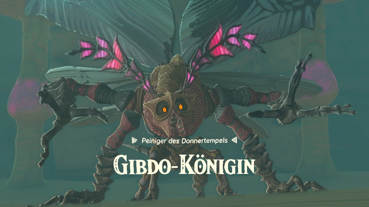 Zelda: Tears of the Kingdom: Gibdo-Königin besiegen (Erster Kampf) und ...