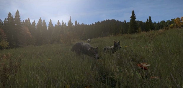 DayZ to introduce predator animals | Rock Paper Shotgun