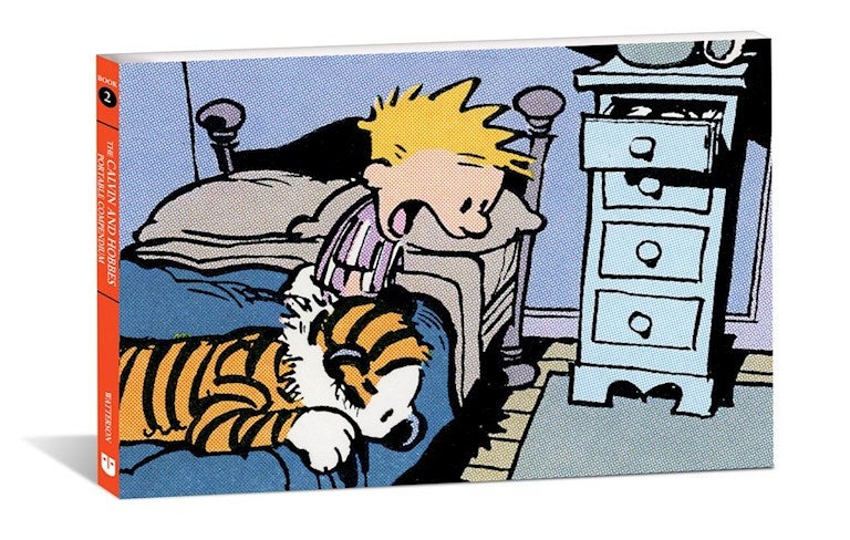Calvin From Calvin And Hobbes