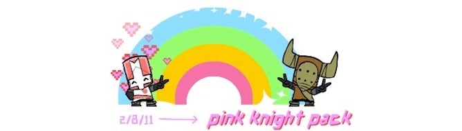 Pink Knight Castle Crashers Wallpaper