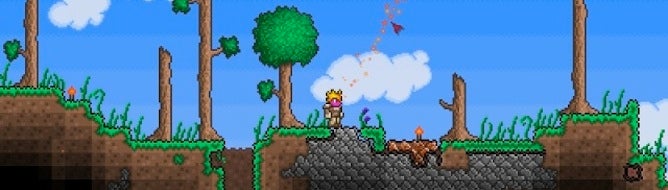 Terraria comes of age with retail release and collectors' edition | VG247