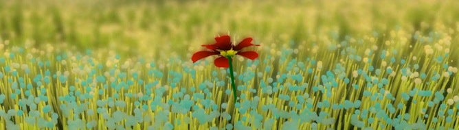Thatgamecompany's flOw and Flower both topped annual PSN charts | VG247