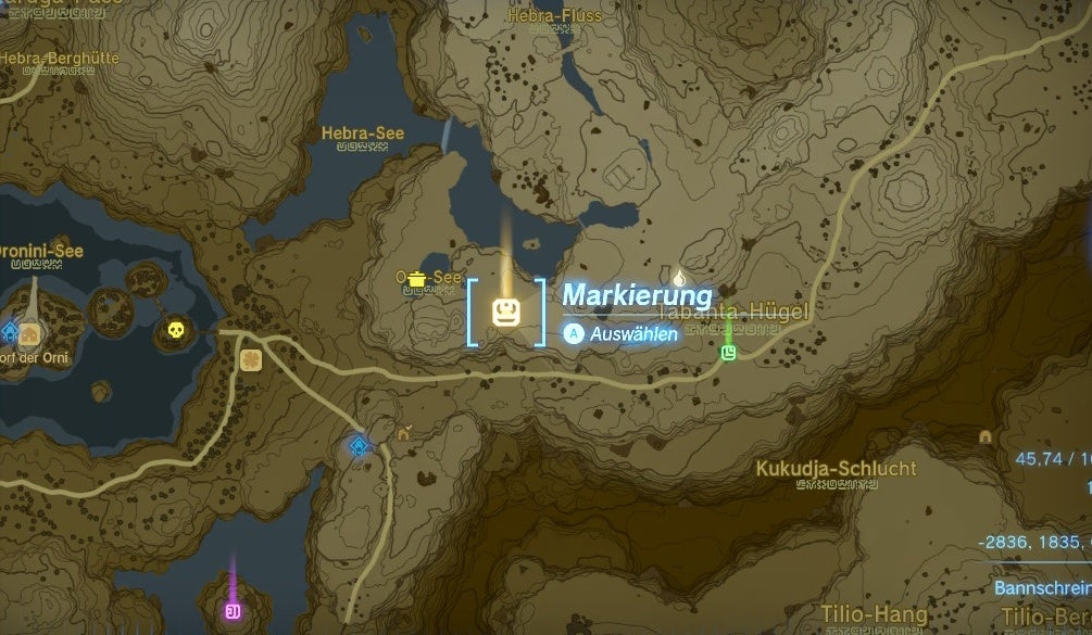 Zelda Tears of the Kingdom: Leunen besiegen und wo man sie finden kann ...