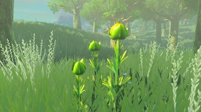 Zelda Tears of the Kingdom: Gamma-Elitekonstrukt-Horn, Geflügel ...