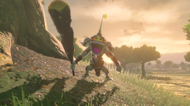 Zelda Tears of the Kingdom: Schwertgras, Ölflasche, Oktorok-Ballon, Prinzessinen-Enzian ...