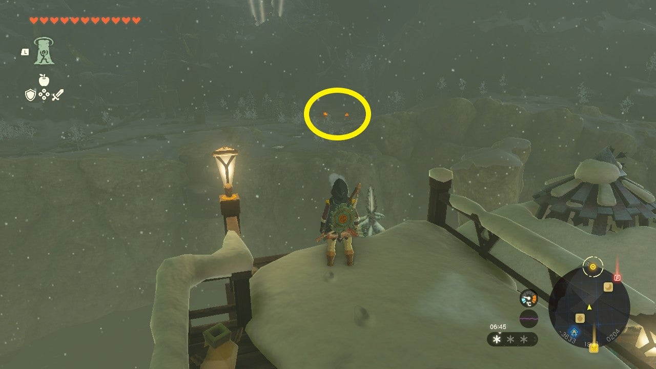 Zelda: Tears of the Kingdom: Tulin aus dem Dorf der Orni - Hertis ...