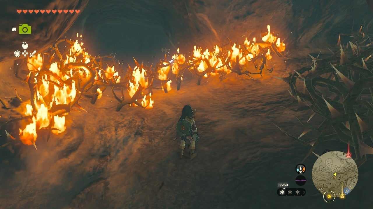 Zelda: Tears of the Kingdom: Tulin aus dem Dorf der Orni - Hertis ...