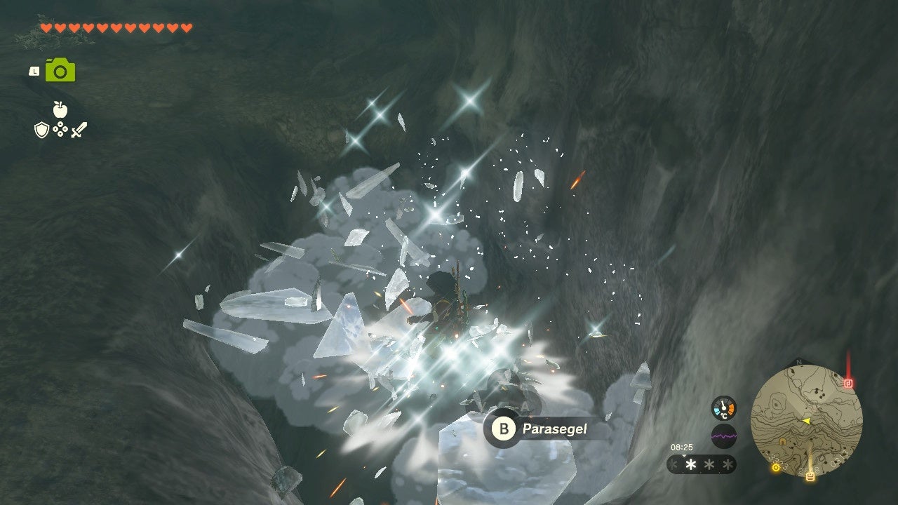 Zelda: Tears of the Kingdom: Tulin aus dem Dorf der Orni - Hertis ...