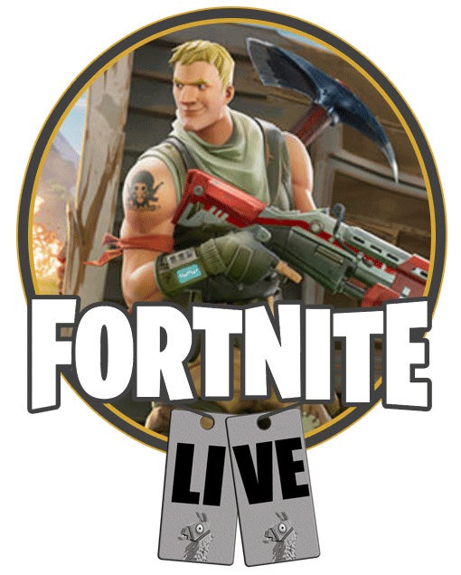 Epic Games now suing Norwich's Fortnite Live festival | Eurogamer.net