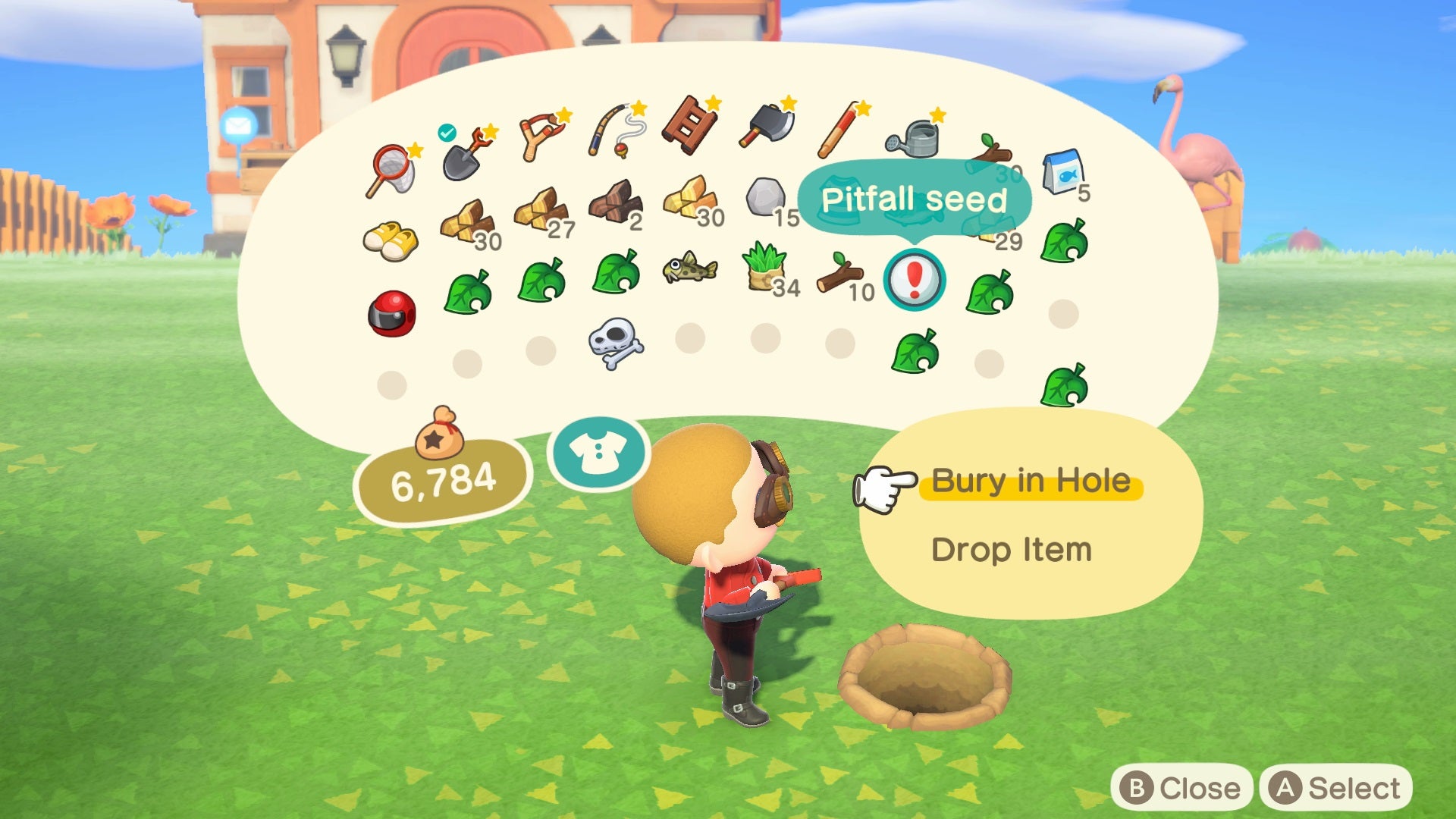Animal Crossing New Horizons: How to Get Pitfall Seeds | VG247