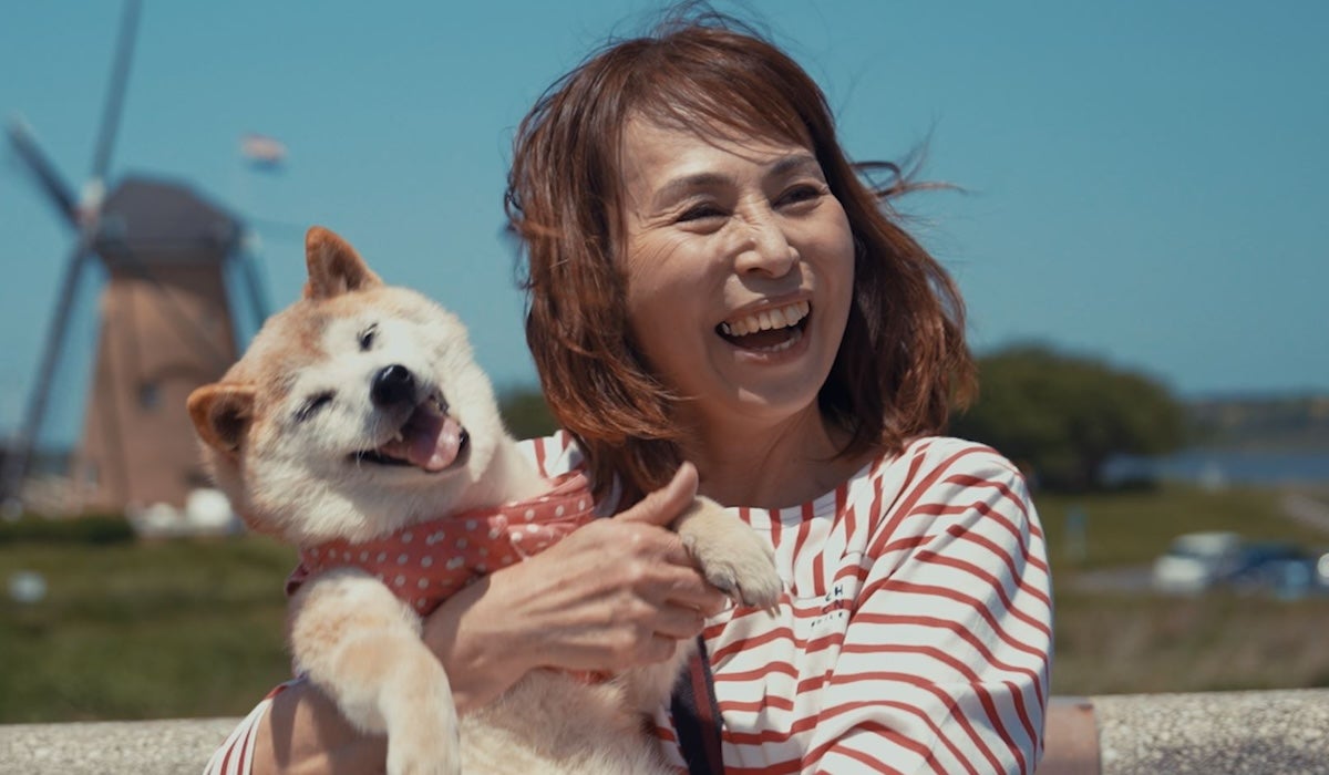 Yes, there's going to be a DOGE movie | Popverse