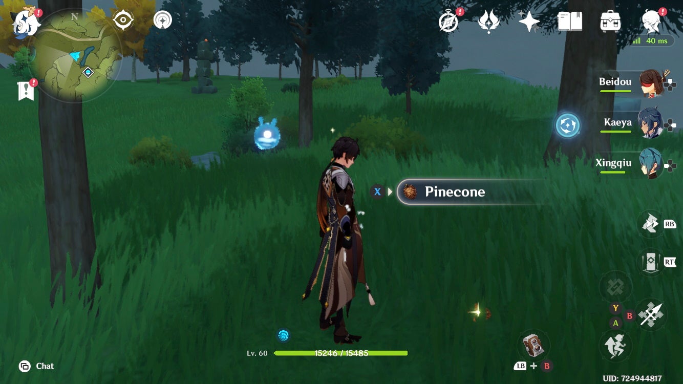 Where to find pinecone locations in Genshin Impact | Eurogamer.net