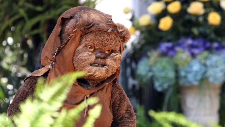 Did The Ewoks Have Names