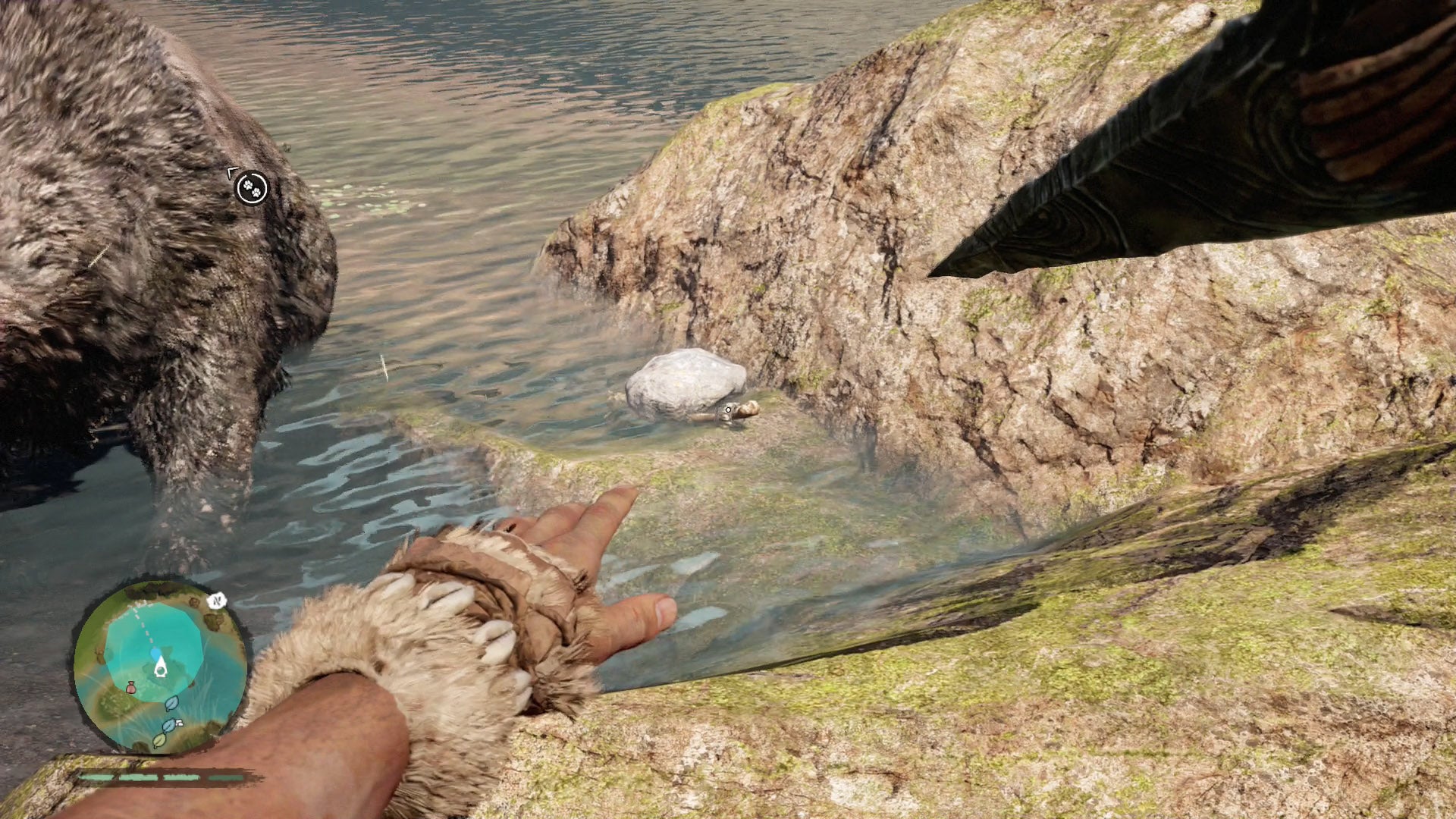 Far Cry Primal - All Wenja Bracelet Locations | VG247