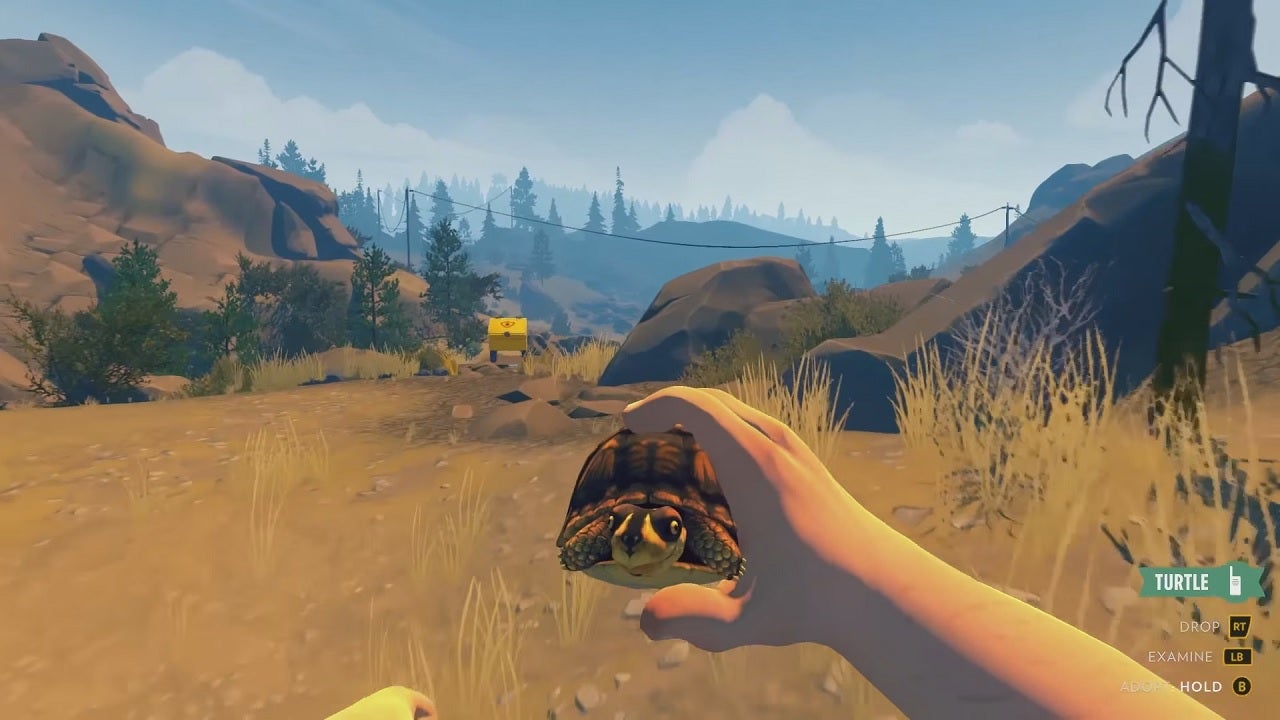Firewatch - How to Find a Turtle Pet | VG247