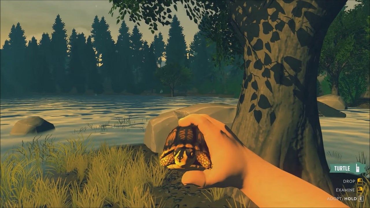 Firewatch - How to Find a Turtle Pet | VG247
