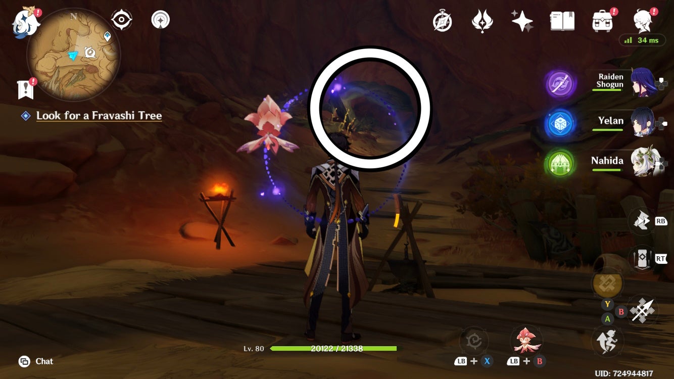 Genshin Impact Fravashi Tree locations for 'Pale Fire' quest ...