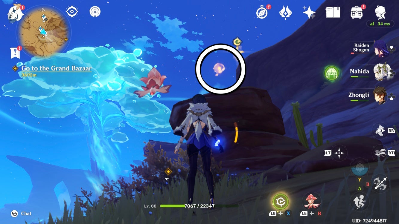Genshin Impact Plume of Purifying Light locations | Eurogamer.net