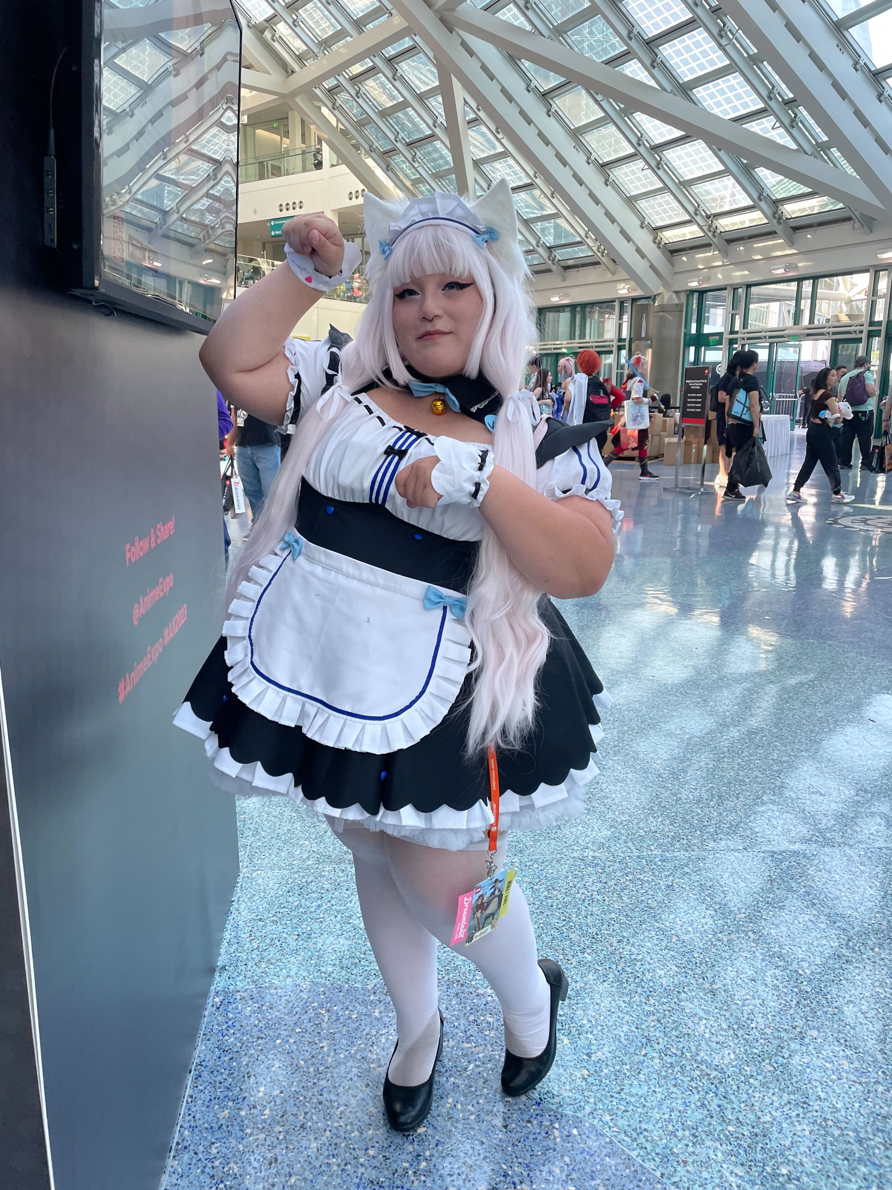 The most amazing cosplay from Anime Expo 2023 in LA! | Popverse