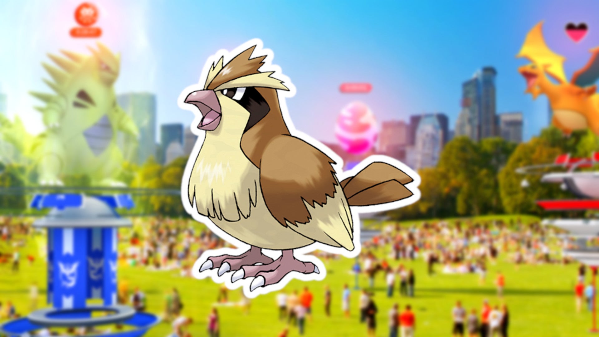 Pokémon Go: Taubsi - 100 % IV und wie Shiny Tauboga und Tauboss ...