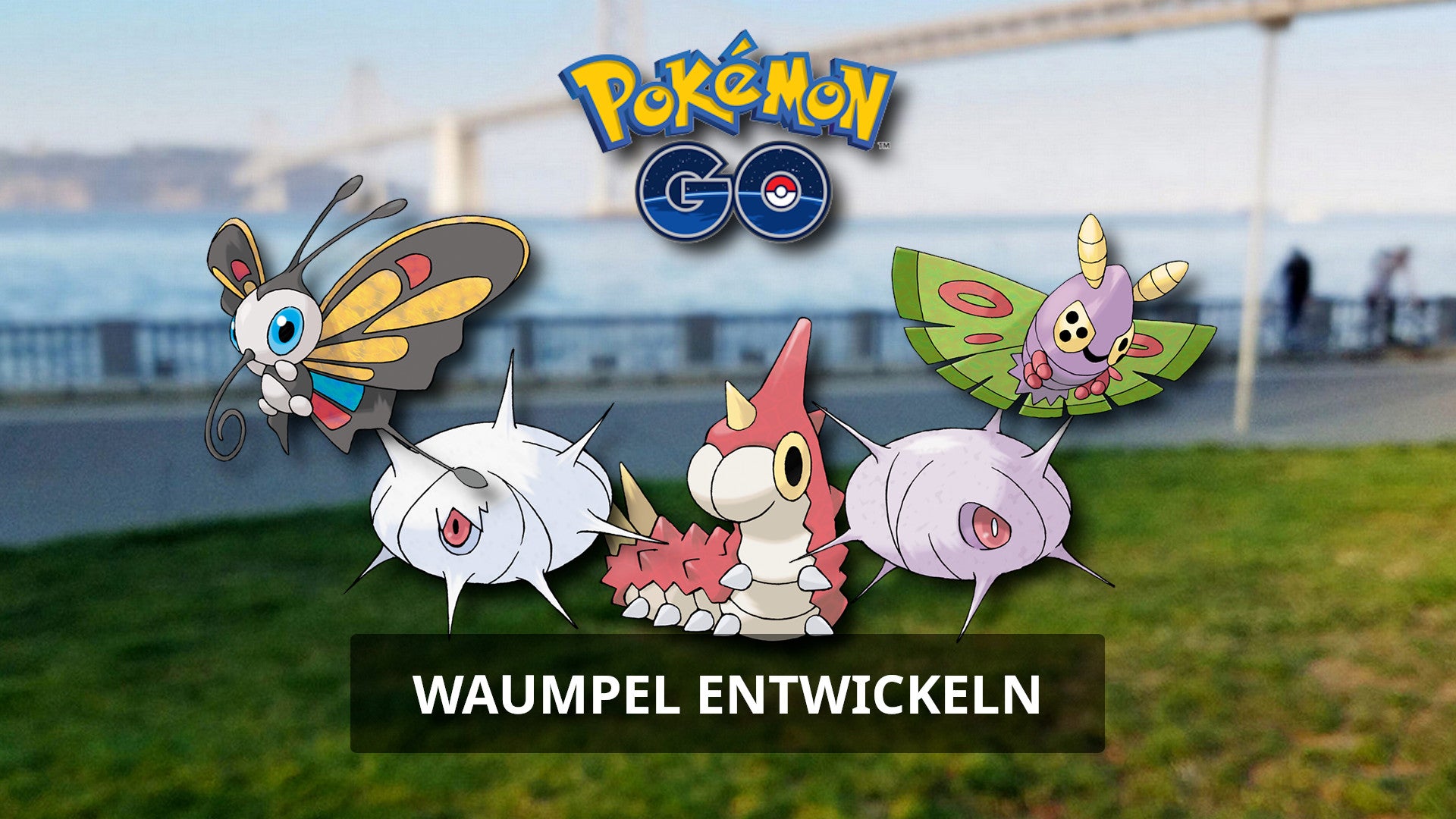 Fabelhafte Waumpel Entwickeln Pokemon Go Bild