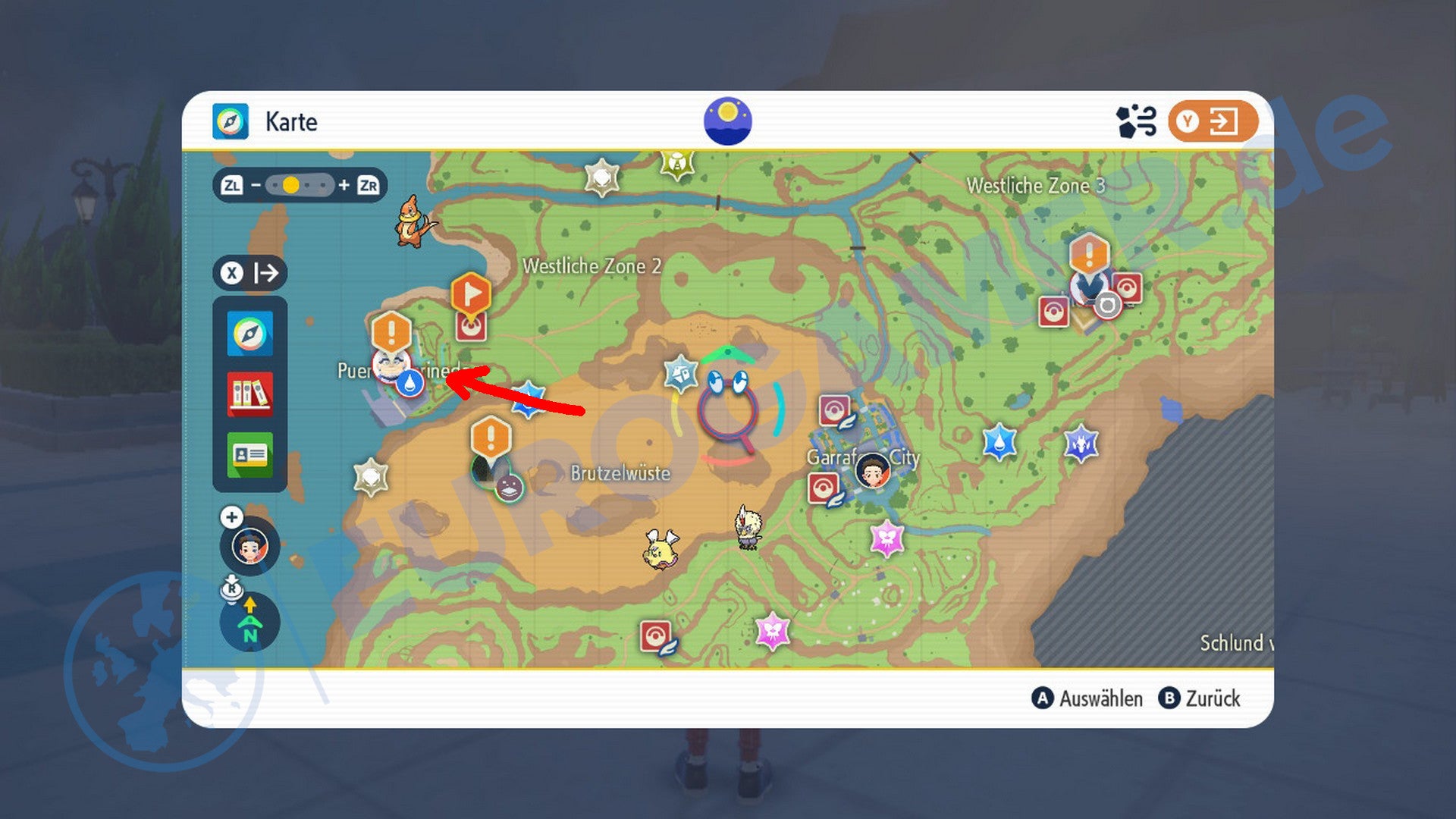 Pokémon Karmesin und Purpur: Arenaleiter Kombu in der Garrafosa-Arena ...