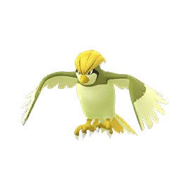 Pokémon Go: Taubsi - 100 % IV und wie Shiny Tauboga und Tauboss ...