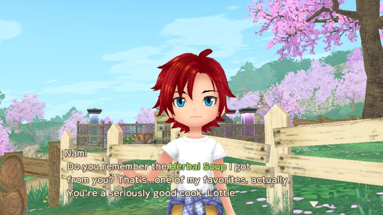 Story of Seasons A Wonderful Life Nami Heart Events | Eurogamer.net