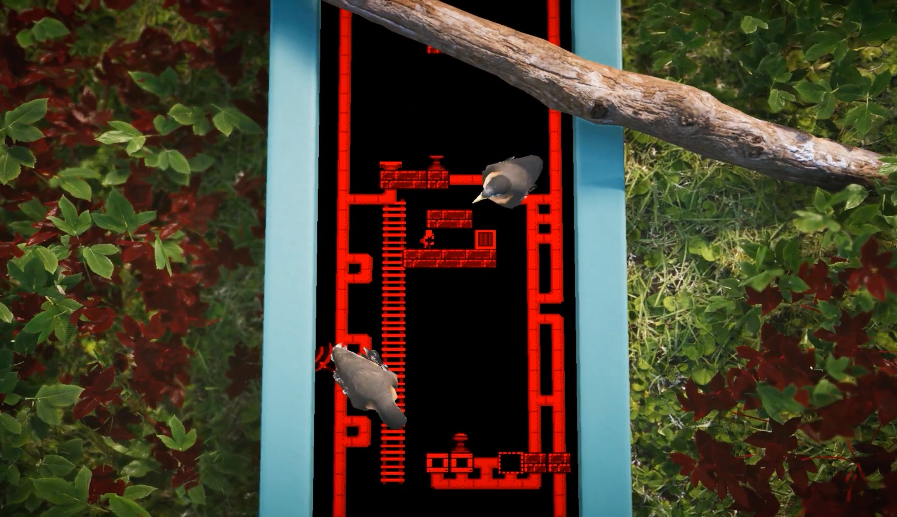 Environmental thriller The Forest Cathedral is based on real-life ...