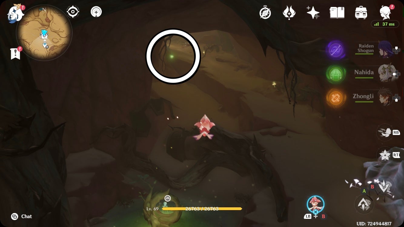 Genshin Impact Fravashi Tree locations for 'Pale Fire' quest ...