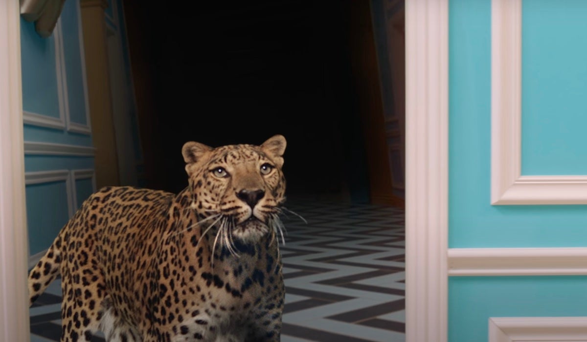 Which Our Flag Means Death actor appeared in Cardi B and Megan Thee ...