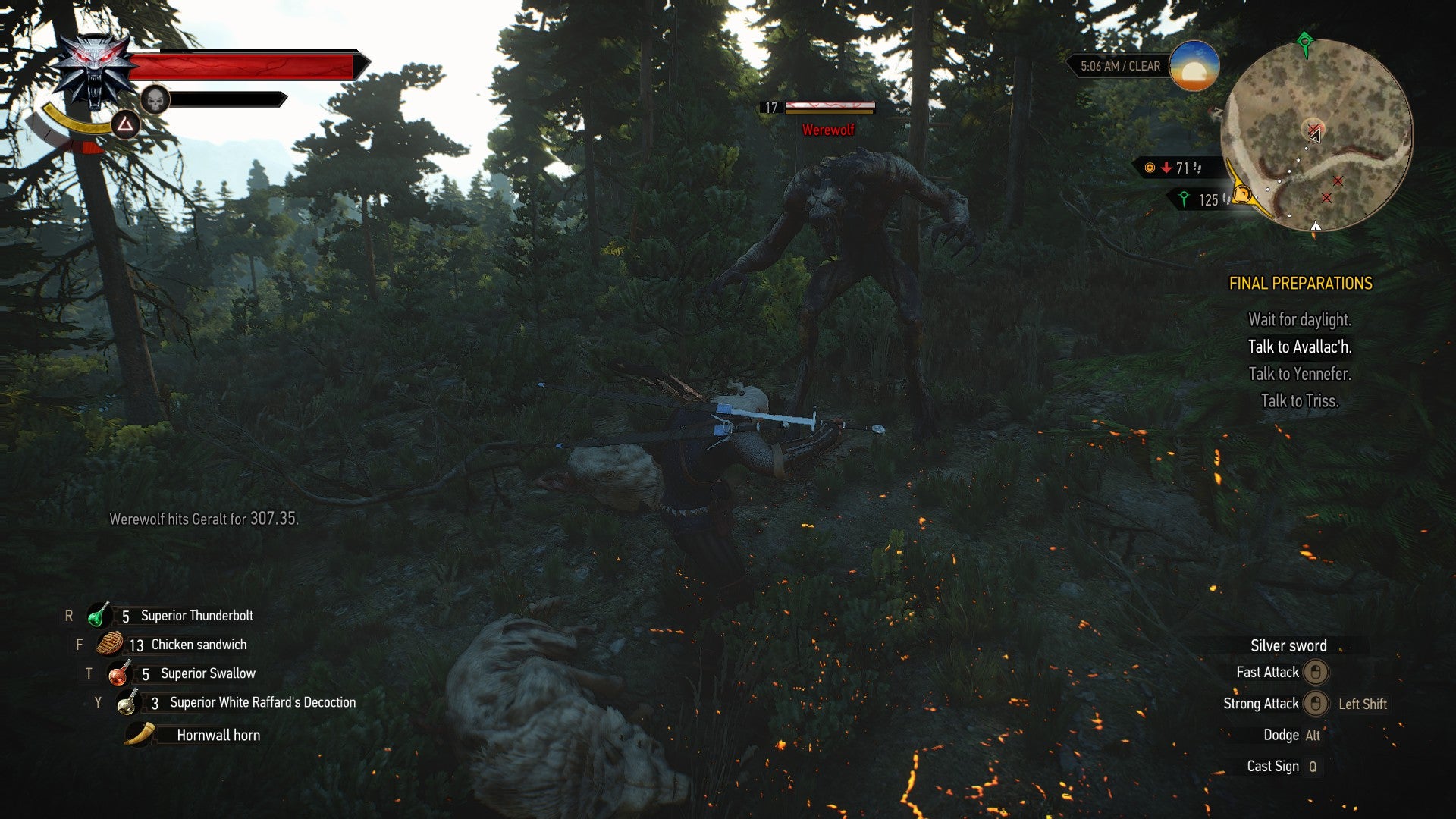 Witcher 3: How to Defeat Werewolves and Stop Their Health Regen Ability ...