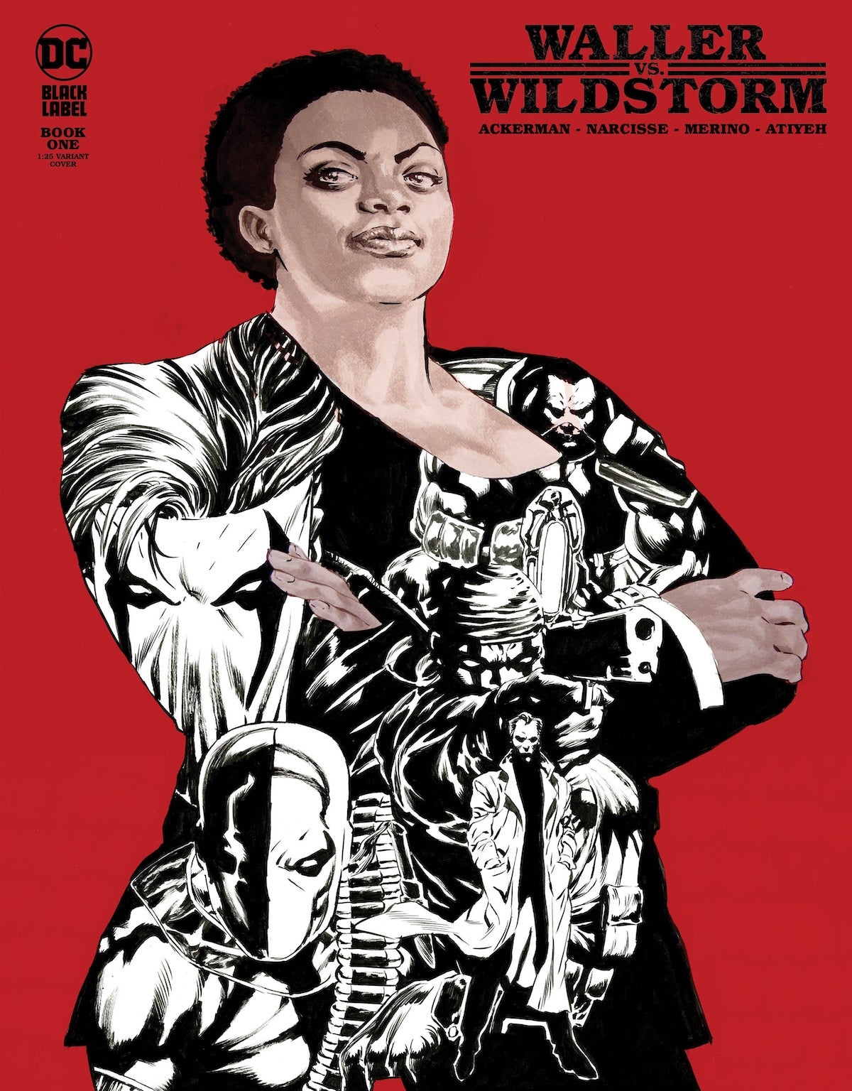 Espionage goes superhero scale in this Waller vs. Wildstorm preview ...