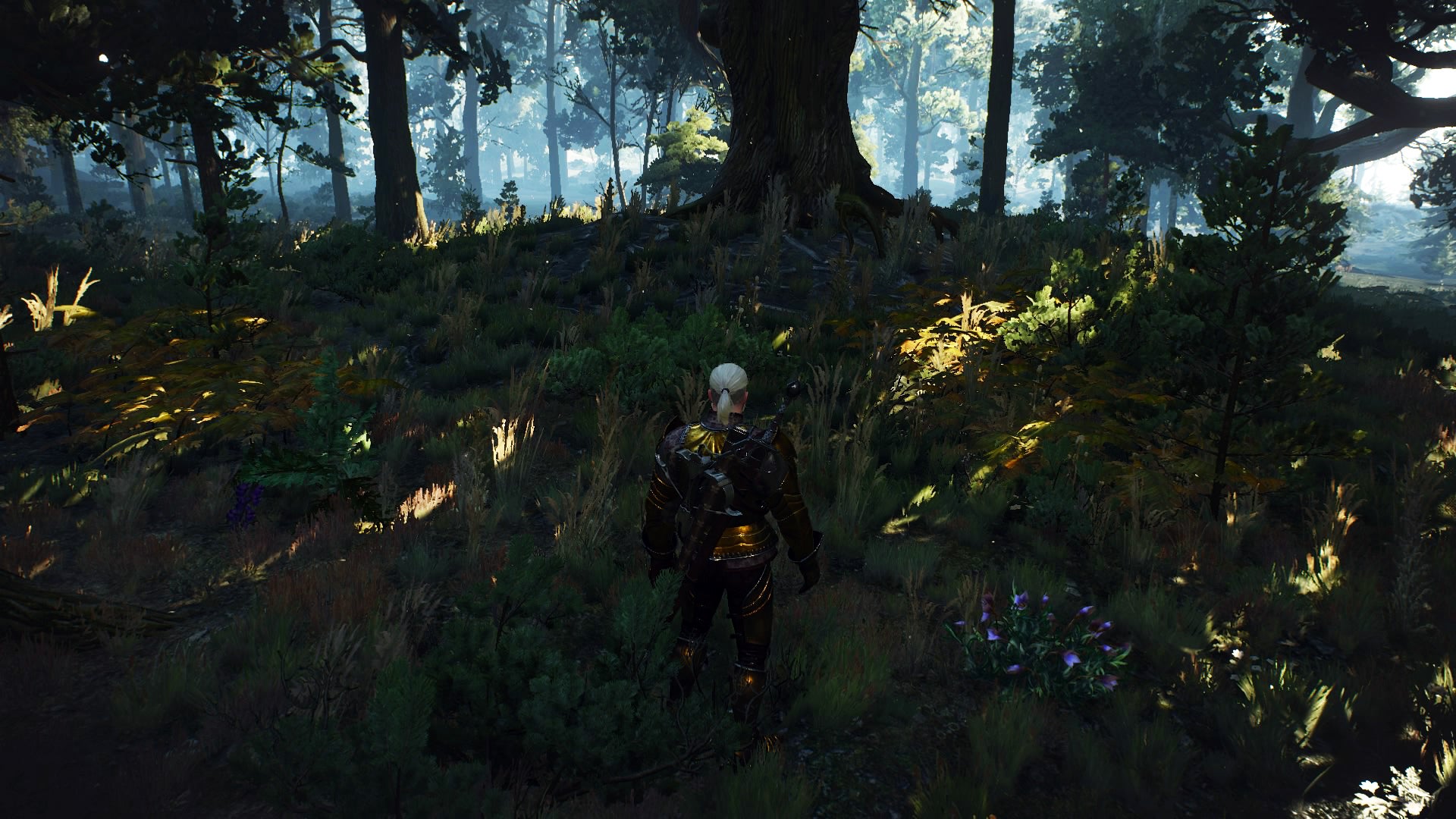 We asked a landscape designer to analyse The Witcher 3, Mass Effect and ...
