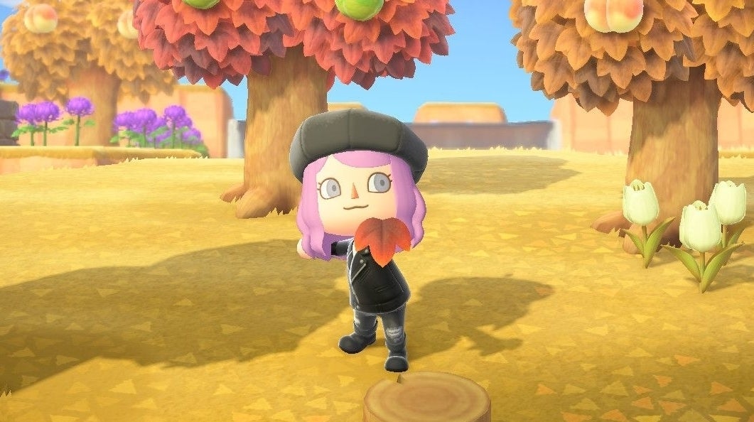 Animal Crossing Leaf