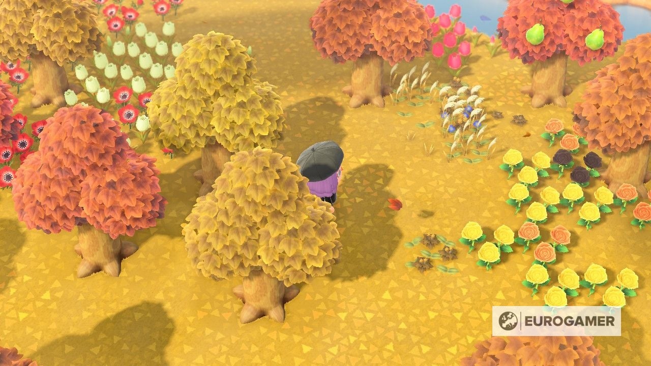 Animal Crossing Maple leaf: How to get maple leaves and find the maple ...