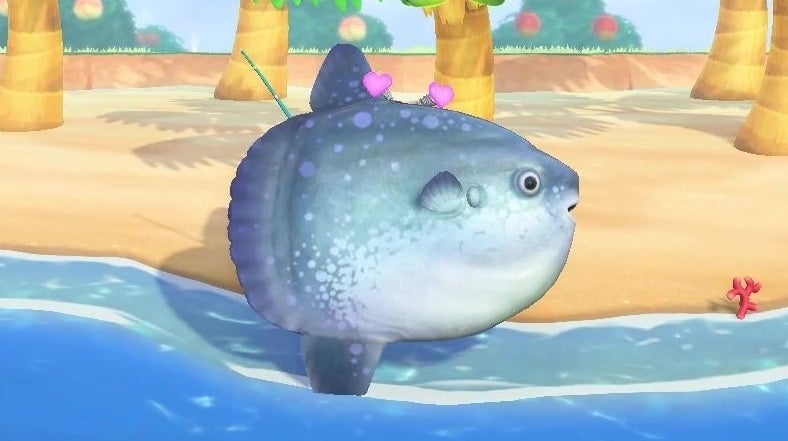 Ocean Sunfish Animal Crossing