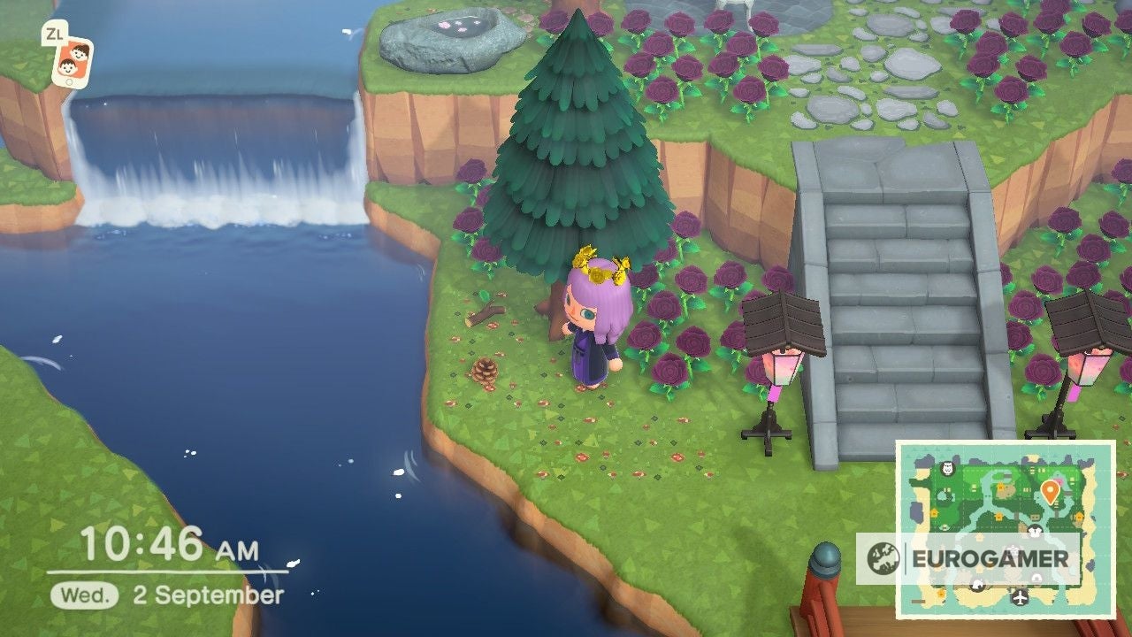 Animal Crossing - Acorns and pine cones: How to get acorns and pine ...