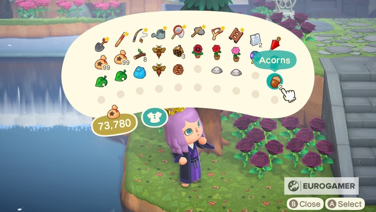 Animal Crossing - Acorns and pine cones: How to get acorns and pine ...
