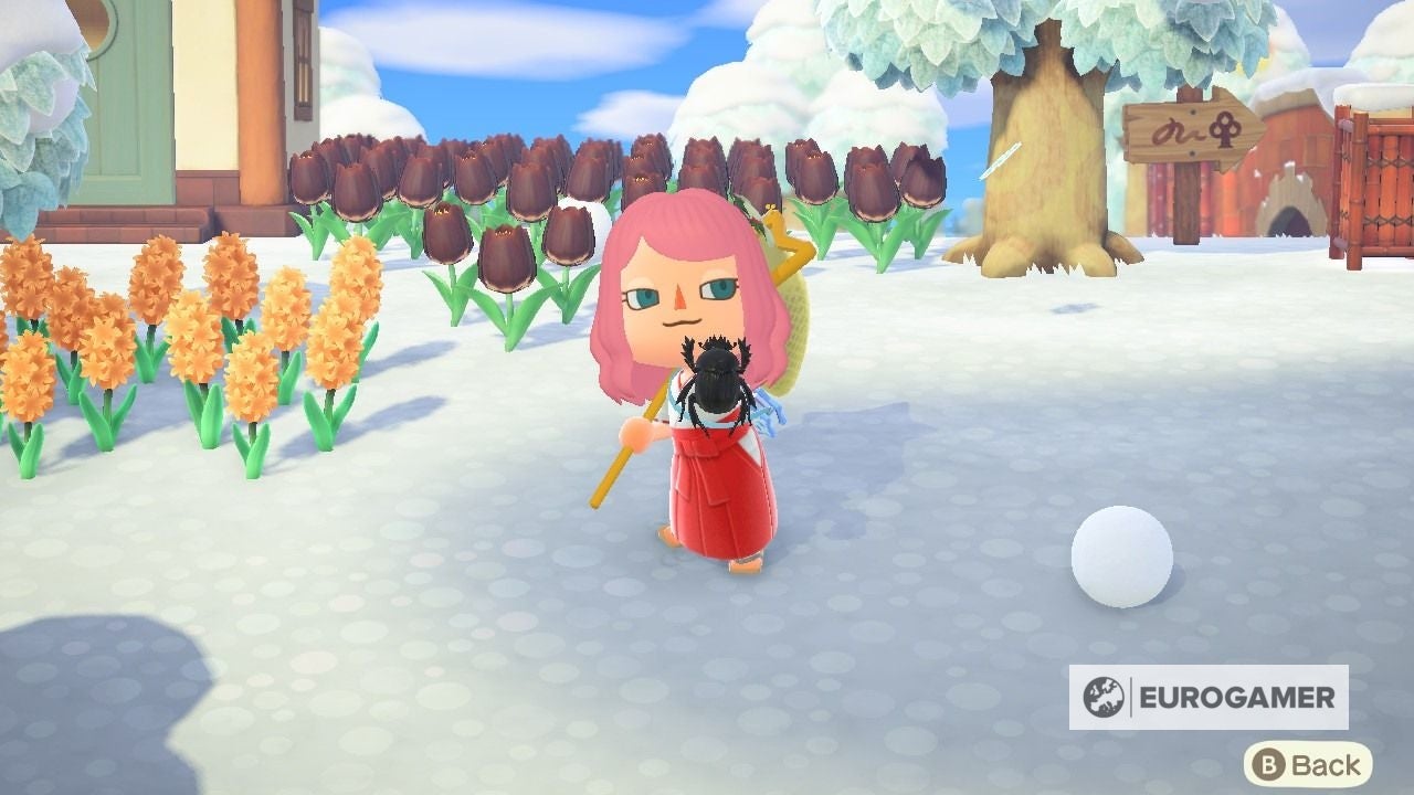 New Bugs and Fish in February: Everything arriving and leaving this ...