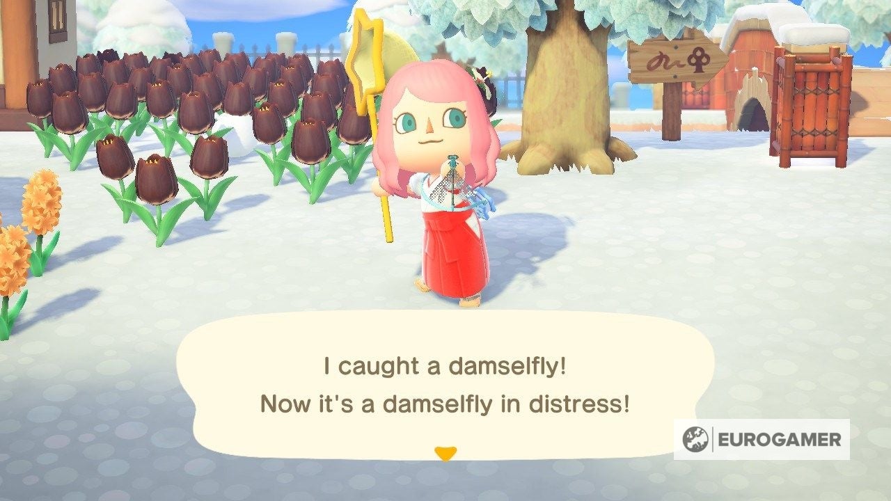 New Bugs and Fish in February: Everything arriving and leaving this ...