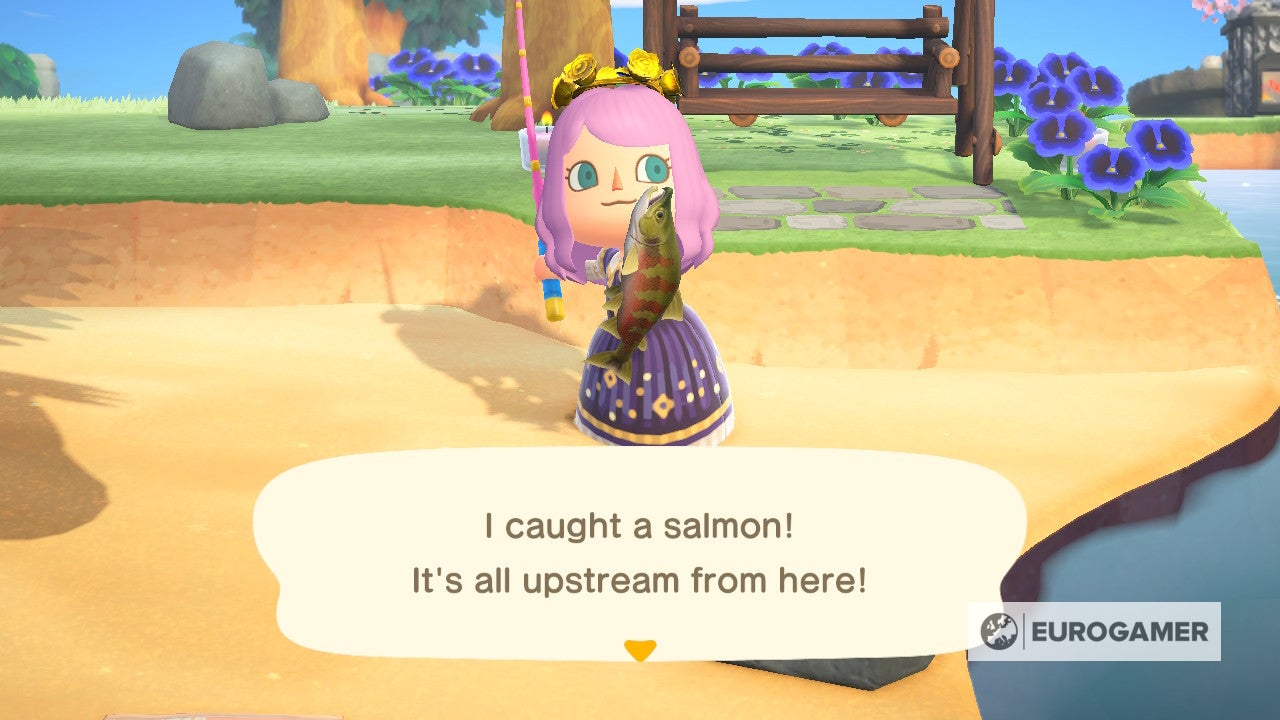 Animal Crossing Salmon and King Salmon: How to catch a salmon or a king ...