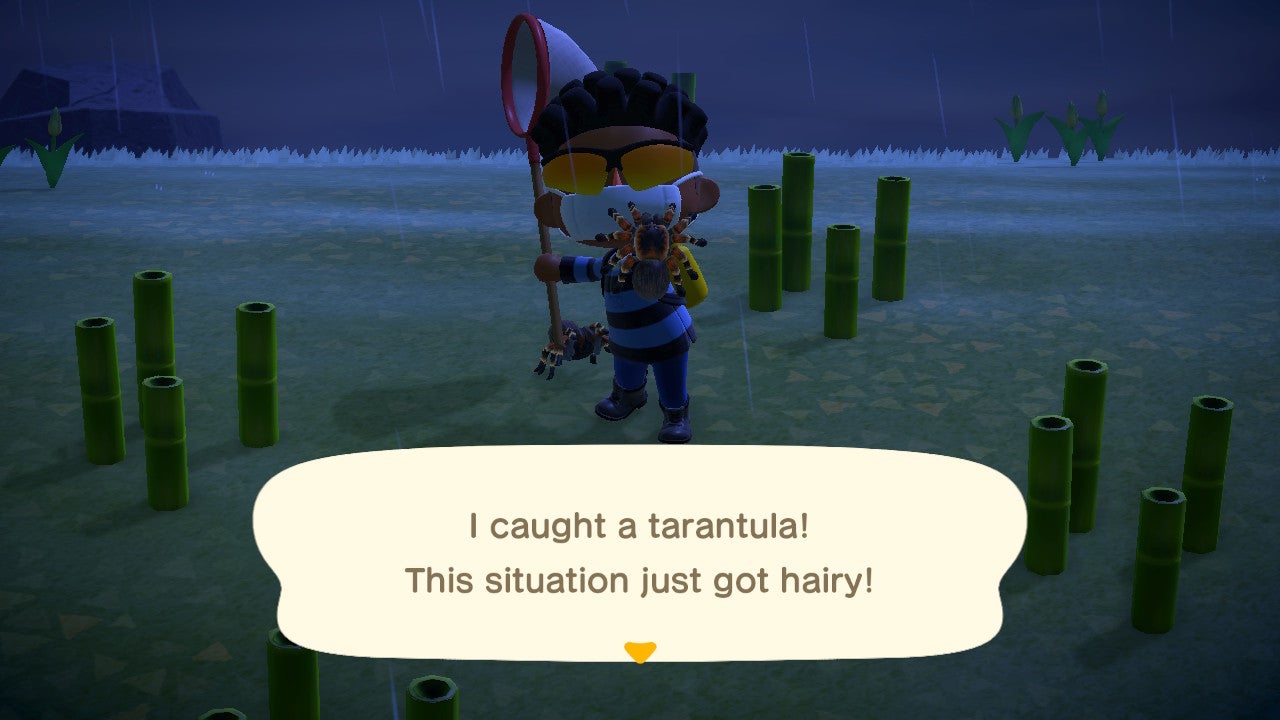 Animal Crossing New Horizons: how to make a tarantula island and earn ...