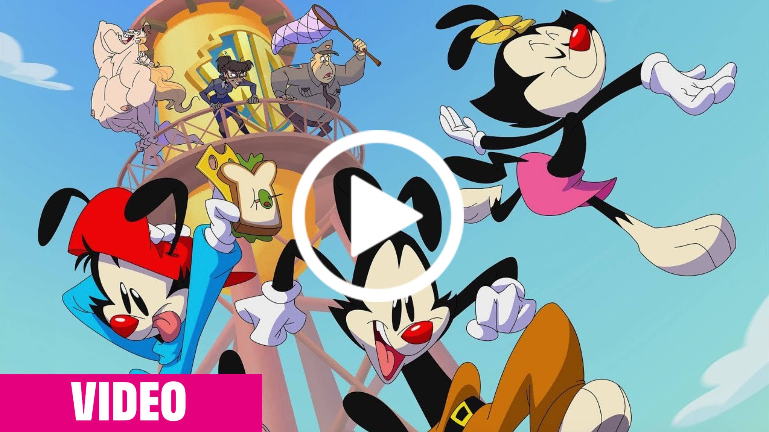 The Animaniacs's Jess Hartnell and Rob Paulson make MCM May 2024 zanier ...